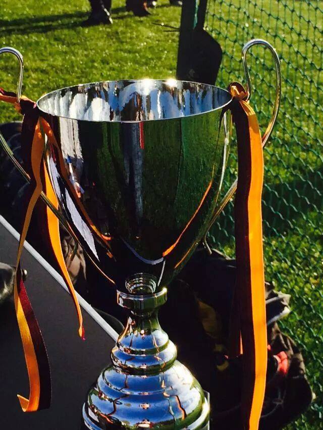 ulster-open-baseball-championship-trophy – Eirball.ie – Gridiron ...